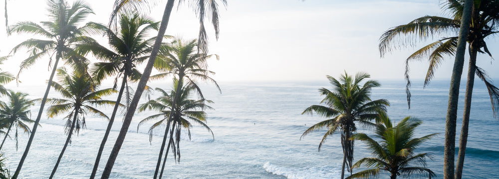 About - Sarah Baeumler